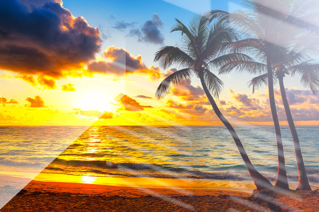 Impression sur Verre Palmiers - Glass-Décor