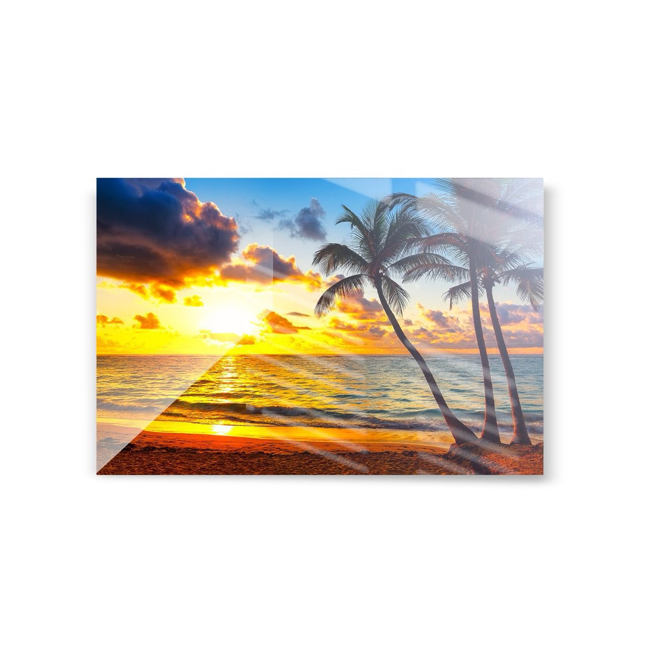 Impression sur Verre Palmiers - Glass-Décor